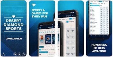 Desert Diamond Sports Review 2025